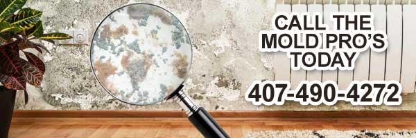 Mold Inspection Orlando | Mold Testing Orlando | Orlando Mold Inspection