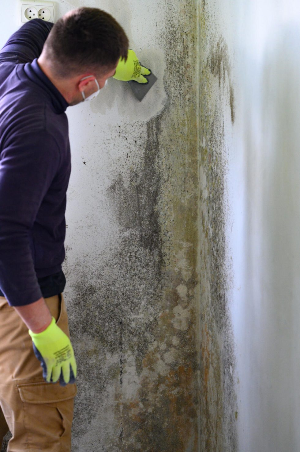 Can Mold Cause Cancer? What You Need to Know