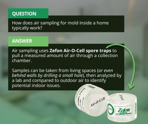 When to Test for Mold in Indoor Air and How It Works